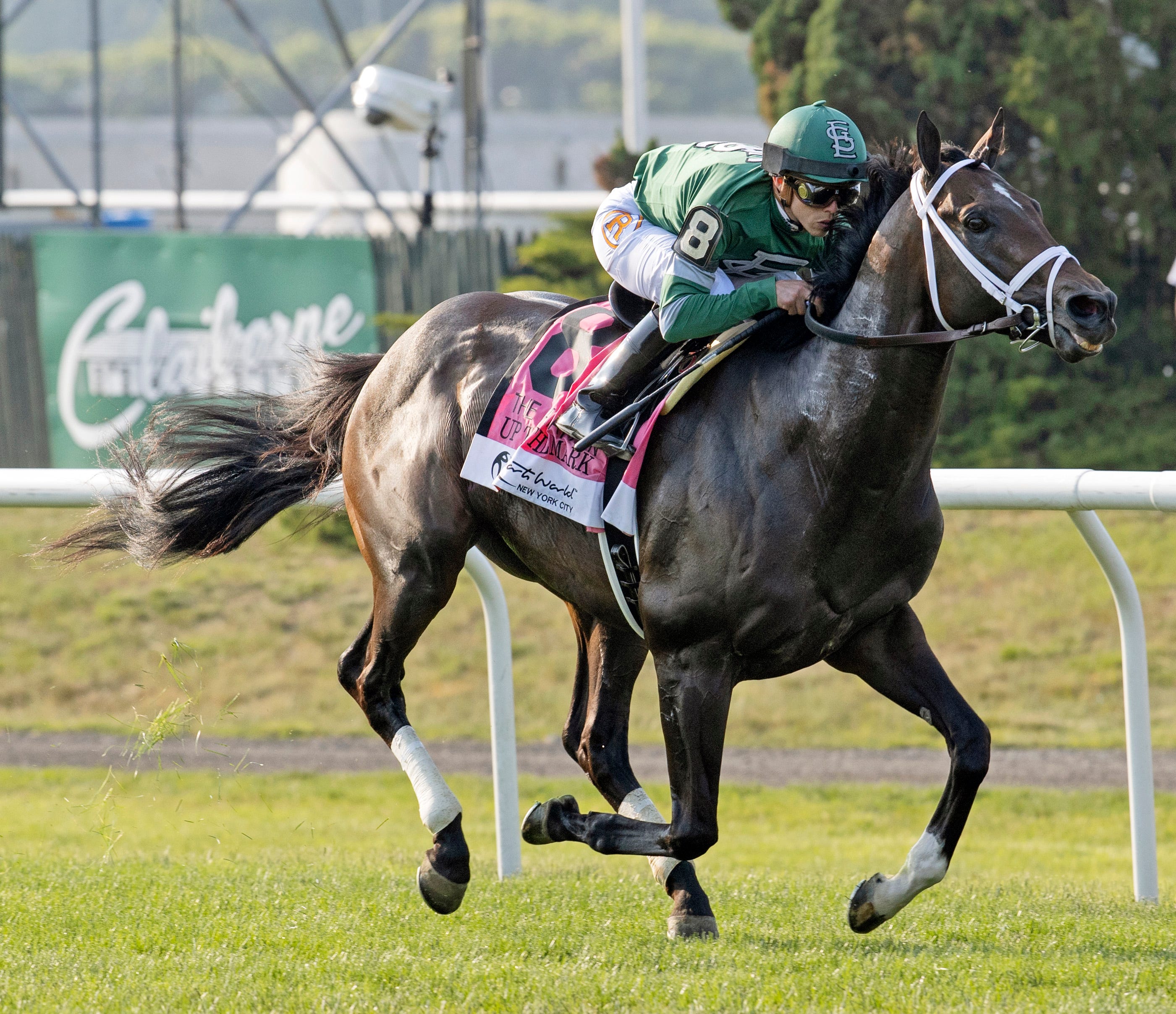 2023 Eclipse Awards: Up to the Mark